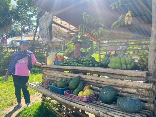 ぽこぽこバナナプロジェクト・ネグロス訪問報告② « APLA （Alternative People’s Linkage in Asia） / あぷら